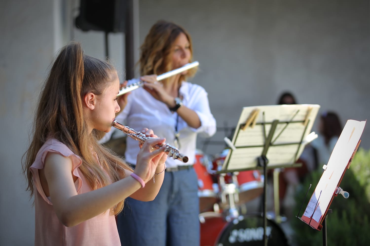 Civica Scuola di Musica, Danza e Teatro della provincia di Sondrio